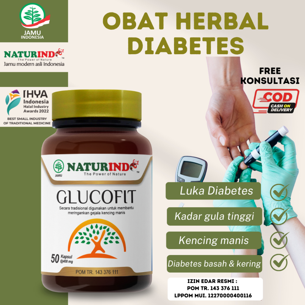 Jual Obat Diabetes Militus Dan Kencing Manis Kering Basah Penurun Kadar ...