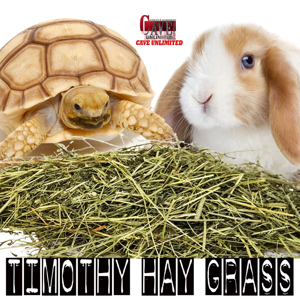 Jual RUMPUT TIMOTHY HAY GRASS TIMOTI KERING MAKANAN PAKAN KURA KURA ...