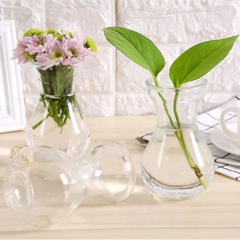 Jual VAS BUNGA AESTHETIC / POT KACA CARAFE TANAMAN HIAS AIR / DEKORASI ...
