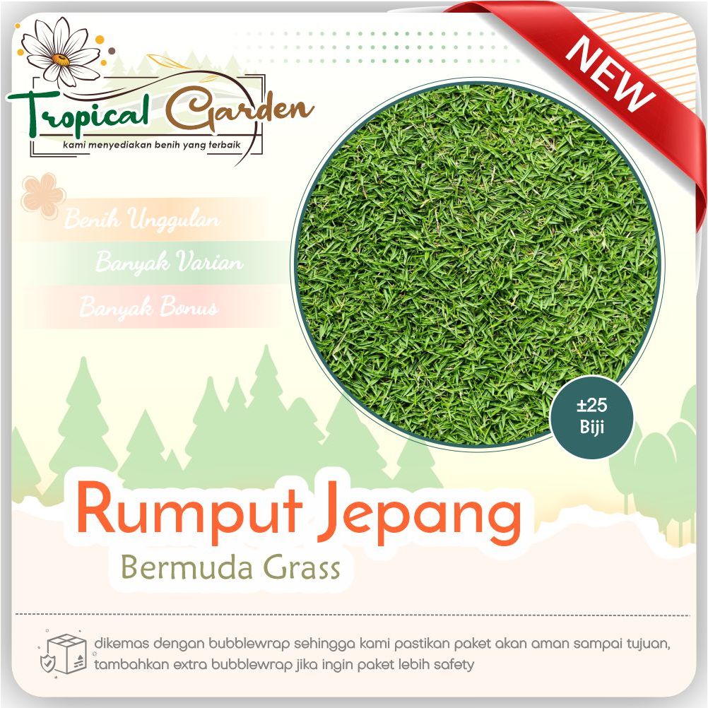 Jual Tropical Garden Benih Biji Rumput Jepang Bermuda Grass Benih ...