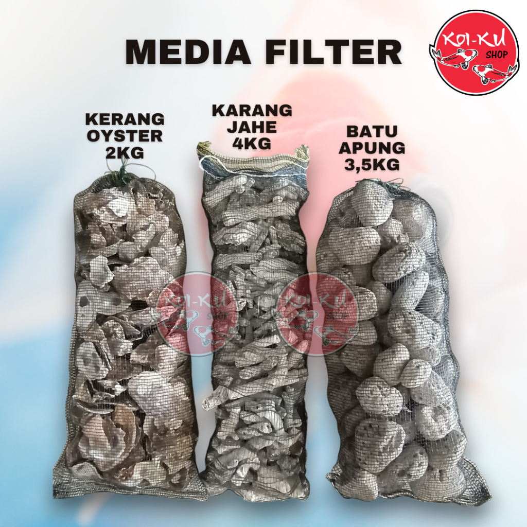Jual media filter kolam aquarium batu apung - kerang oyster - karang ...