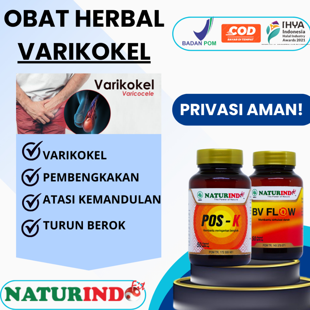 Jual OBAT HERNIA VARIKOKEL BUAH ZAKAR BENGKAK MANDUL NYERI TESTIS TURUN ...