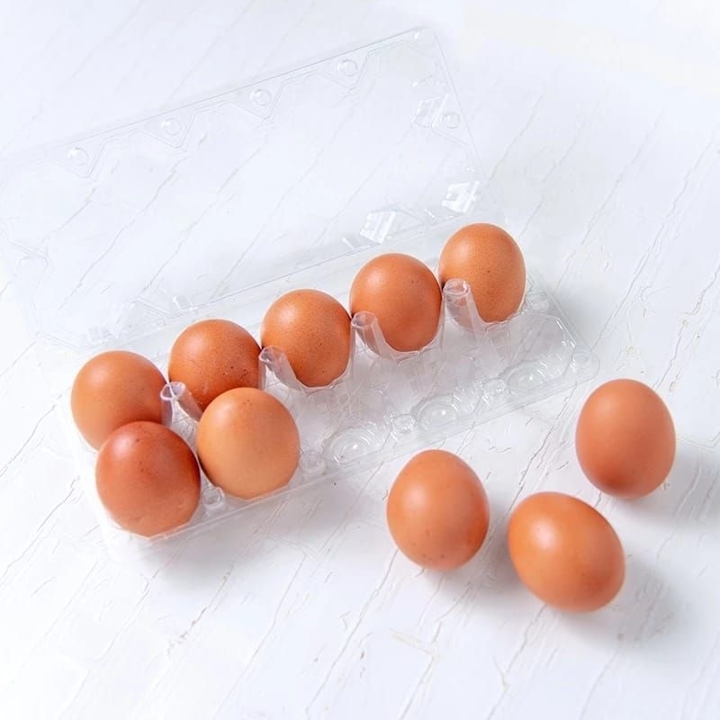 Jual telor ayam negeri fresh 1kg / telur ayam omega / telor ayam ...