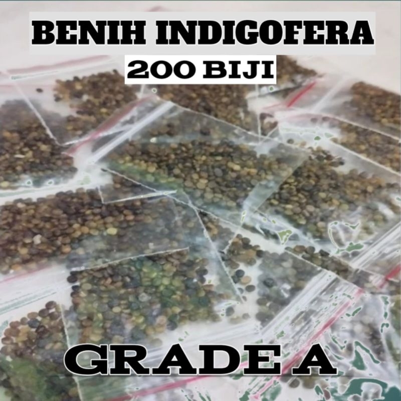 Jual Biji benih indigofera super unggul isi 200 biji | Shopee Indonesia