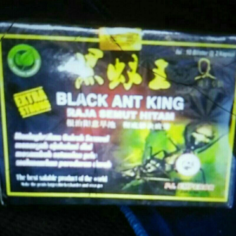 Jual Black aunt king raja semut hitam | Shopee Indonesia