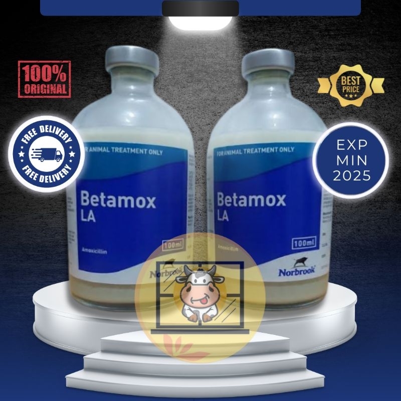 Jual Betamox LA 100ml - Antibiotik Untuk Pencernaan Pada Hewan | Shopee ...