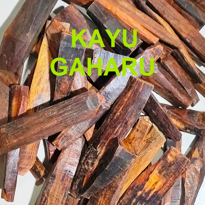 Jual kayu gaharu stik kualitas super grade A aquilaria malaccensis ...