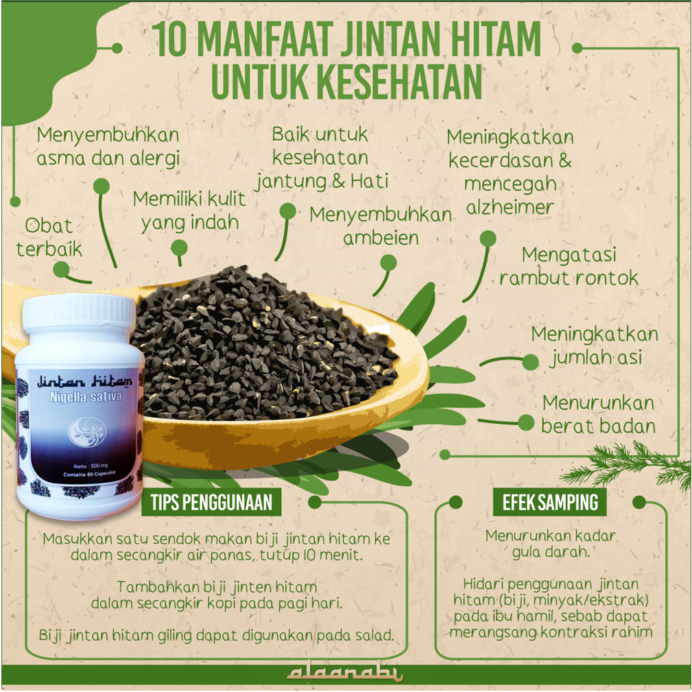 Jual Jintan hitam jinten habbatussauda kapsul herbal obat habbat jamu ...
