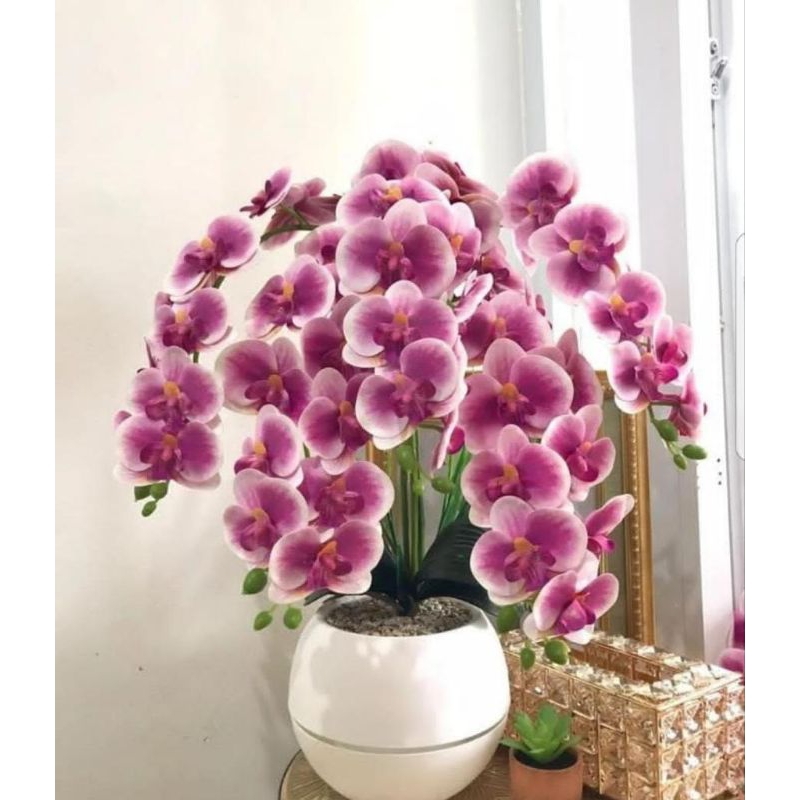 Jual Bunga anggrek cabang 5 super rimbun dengan vas bola | Shopee Indonesia