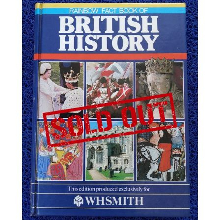 Jual HARDCOVER Rainbow Fact Book of British History, (English/buku ...