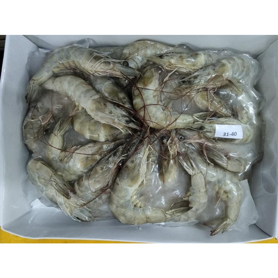 Jual Udang Tiger / Udang pancet / Black Tiger Prawn / Fresh Segar ...