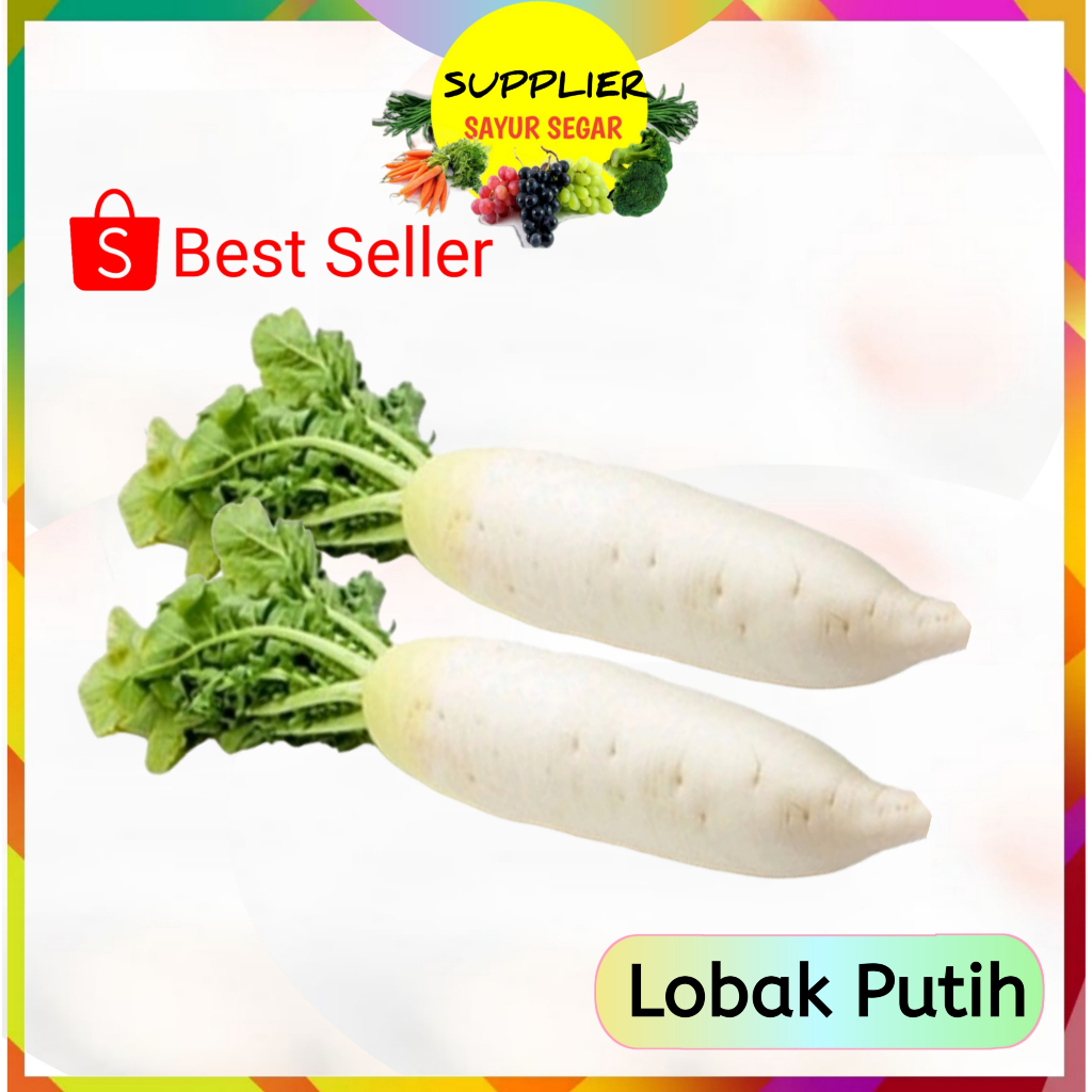 Jual Lobak Putih - Supplier Sayur Sayuran Mayur Segar Online Palembang ...