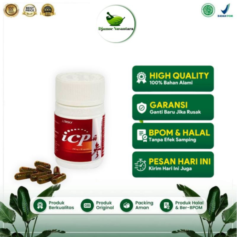 Jual ICP Capsule Original Herbal Penyumbatan Jantung Stroke (100% ...