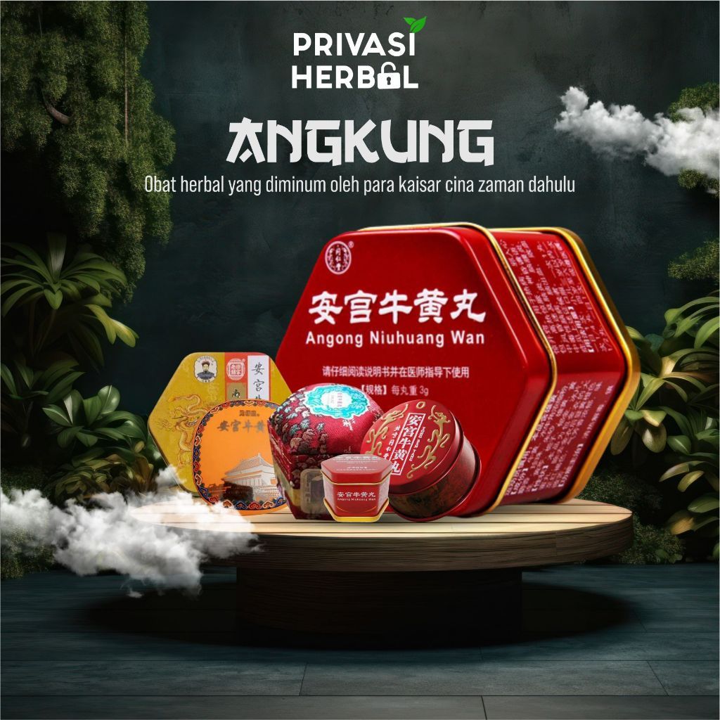 Jual ANGKUNG OBAT STROKE HERBAL CINA ANGONG NIUHUANG WAN ORIGINAL 100% ...