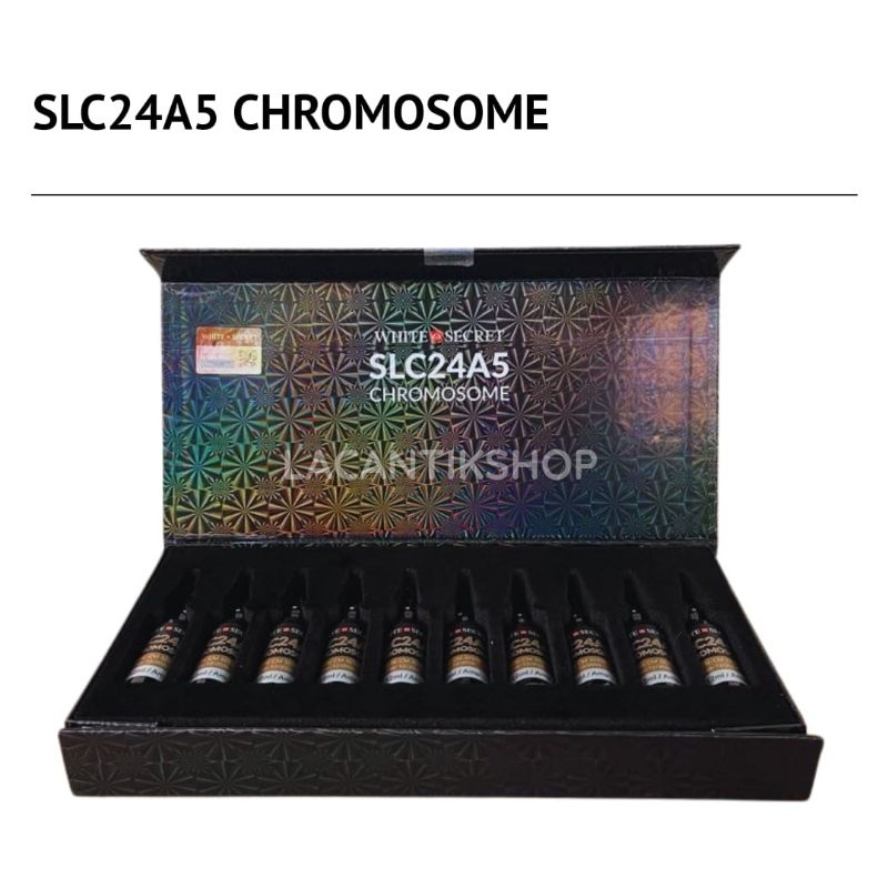 Jual SLC24A5 CHROMOSOME WHITE SECRET | Shopee Indonesia