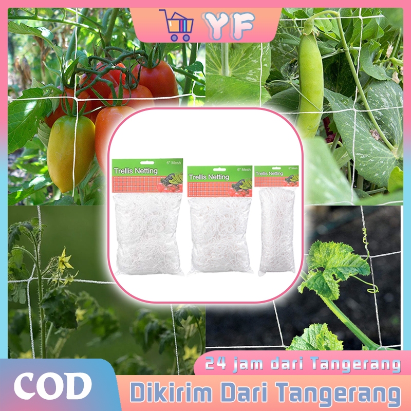 Jual 5m 10m 20m Jaring Anggur Buat Tanaman Jaring Pohon Rambat Pagar ...