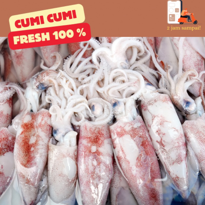 Jual Cumi cumi Seafood Sotong Fresh Fish 500 gram KIRIM INSTAN BANDUNG ...