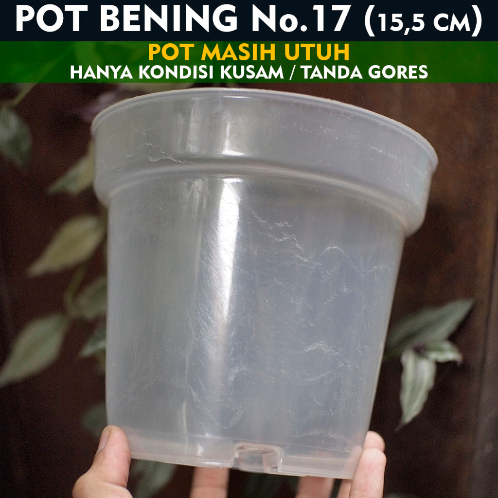 Jual Pot Bening Plastik No.17 (15,5 cm) - Pot Bening Poros - Pot Bening ...