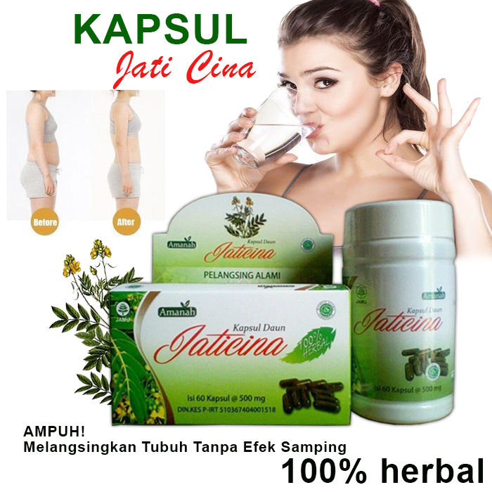Jual Kapsul Daun Jati Cina Amanah / Pelangsing Alami | Shopee Indonesia