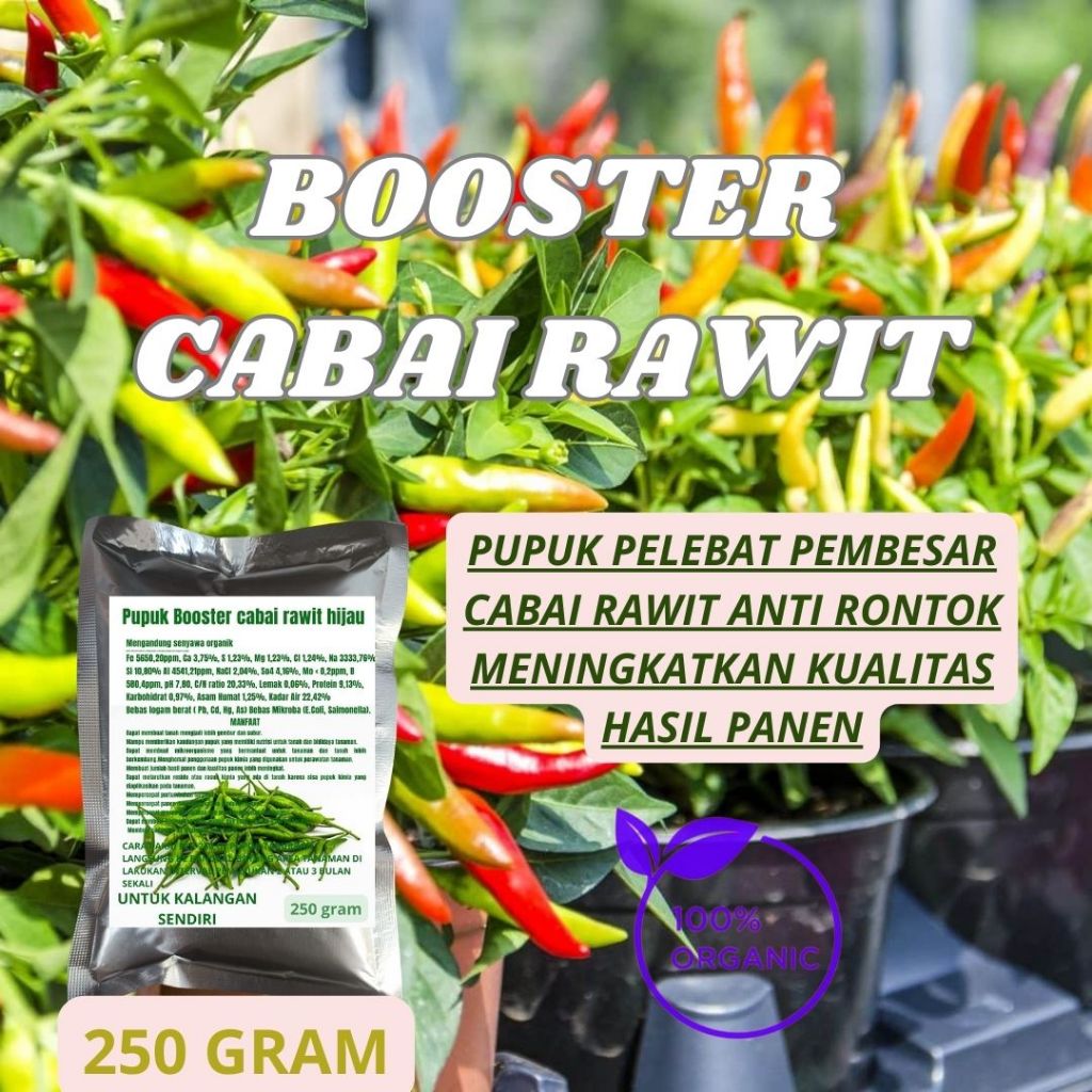 Jual TFI Pupuk Booster Cabai Rawit 250 GR Pelebat Buah Anti Rontok /Pupuk Cabai Rawit Agar Cepat ...