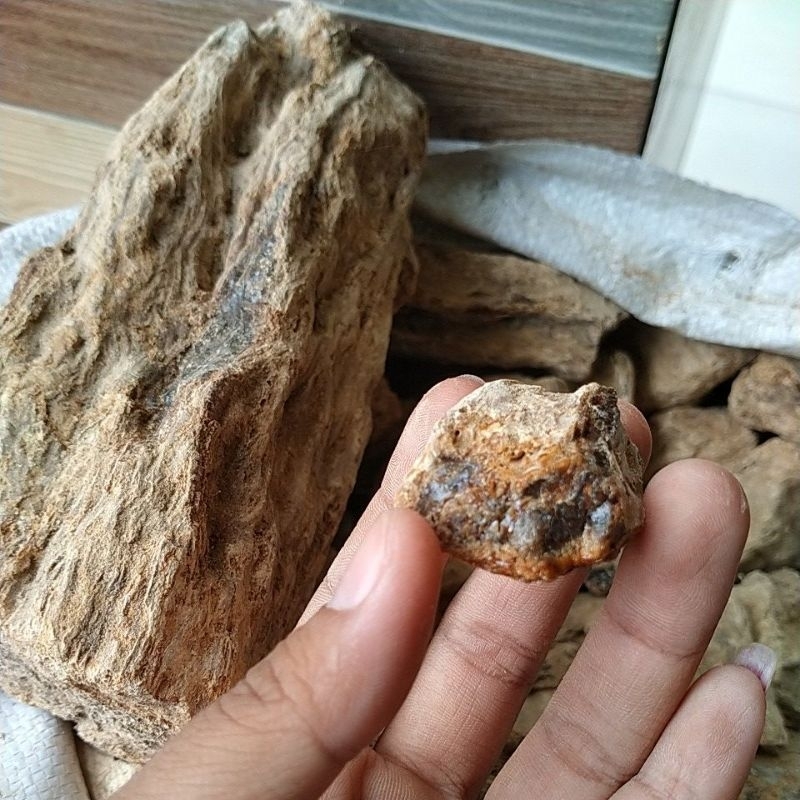 Jual buhur getah damar kayu gaharu Kalimantan kemasan 500gram | Shopee ...