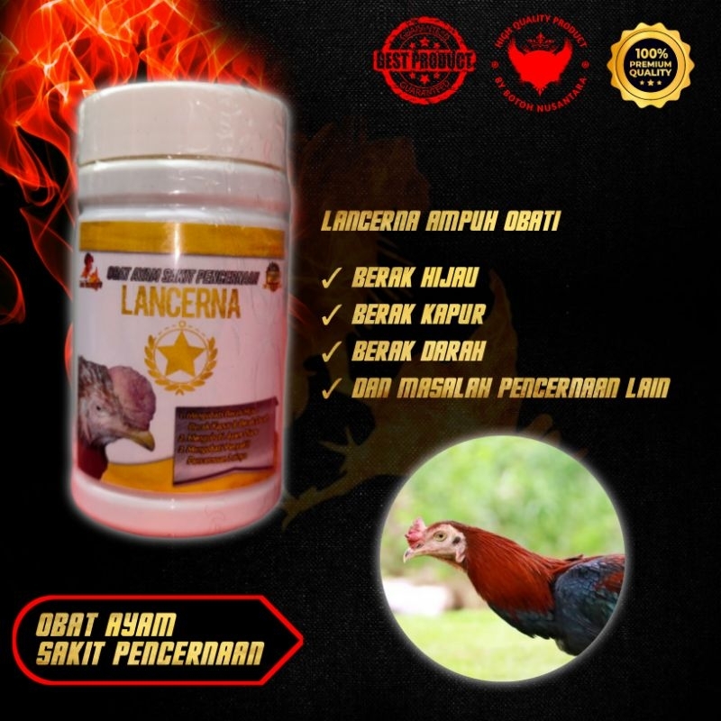 Jual Lancerna Obat Herbal Ayam Sakit Kolera Berak Hijau Berak Kapur ...