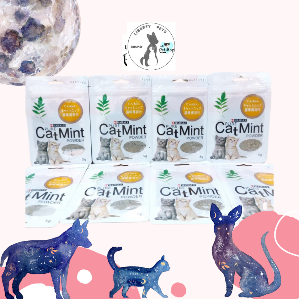 Jual Catnip catmint cat mint - Pure Catmint Powder Premium 5gr | Shopee ...