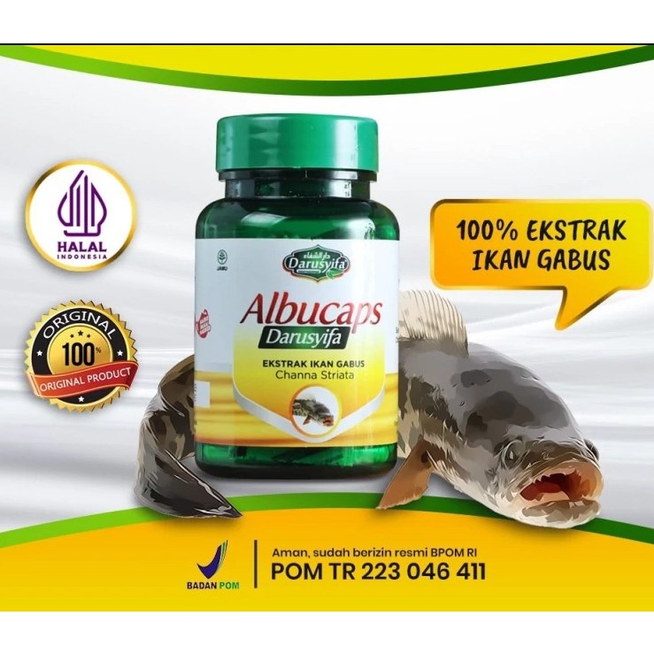Jual Kapsul ikan gabus albucaps darusyifa obat luka pasca operasi Mengurangi Peradangan ...