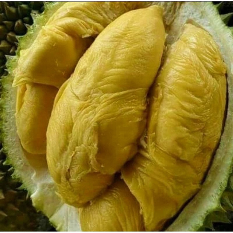 Jual Durian super utuh ( Bergaransi ) | Shopee Indonesia