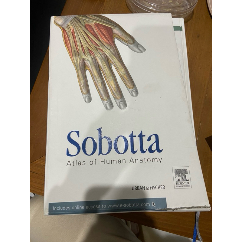 Jual ORI PRELOVED Sobotta Atlas of Human Anatomy | Shopee Indonesia