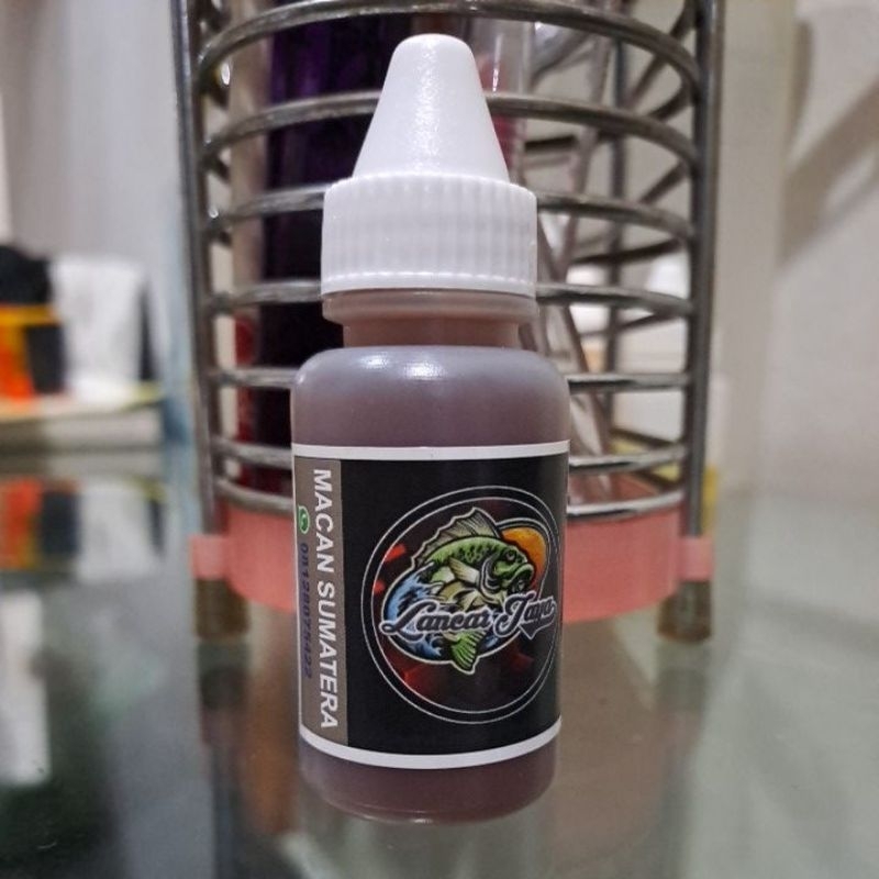 Jual MACAN SUMATERA - ESSEN IKAN MAS KHUSUS LOMBA DAN HARIAN | Shopee ...