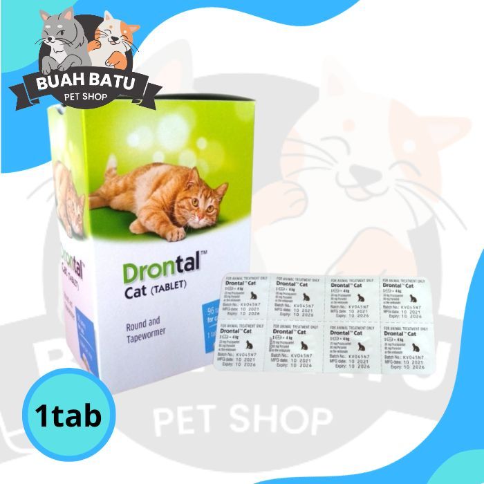 Jual DRONTAL CAT obat cacing kucing drontal 1 tablet | Shopee Indonesia