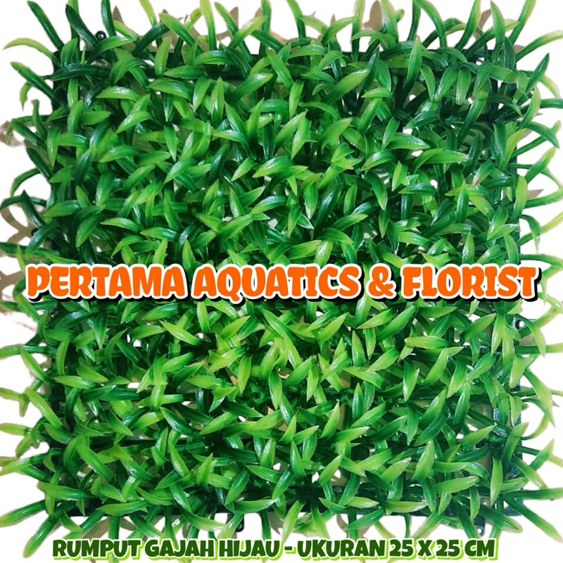 Jual RUMPUT HIJAU FULL Uk.25X25 Cm/ RUMPUT AQUARIUM / HIASAN PLASTIK ...