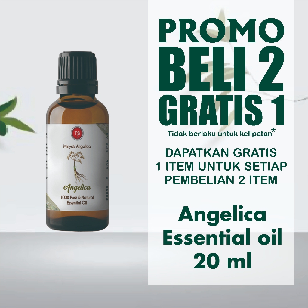 Jual BUY 2 GET 1 FREE !!! TSb Angelica Essential Oil Diffuser Humidifier Minyak Esensial Air ...