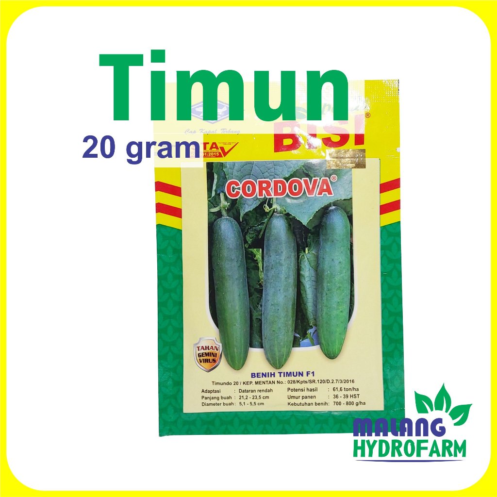 Jual Benih Timun Cordova 20 gram Cap Kapal Terbang dataran rendah ...