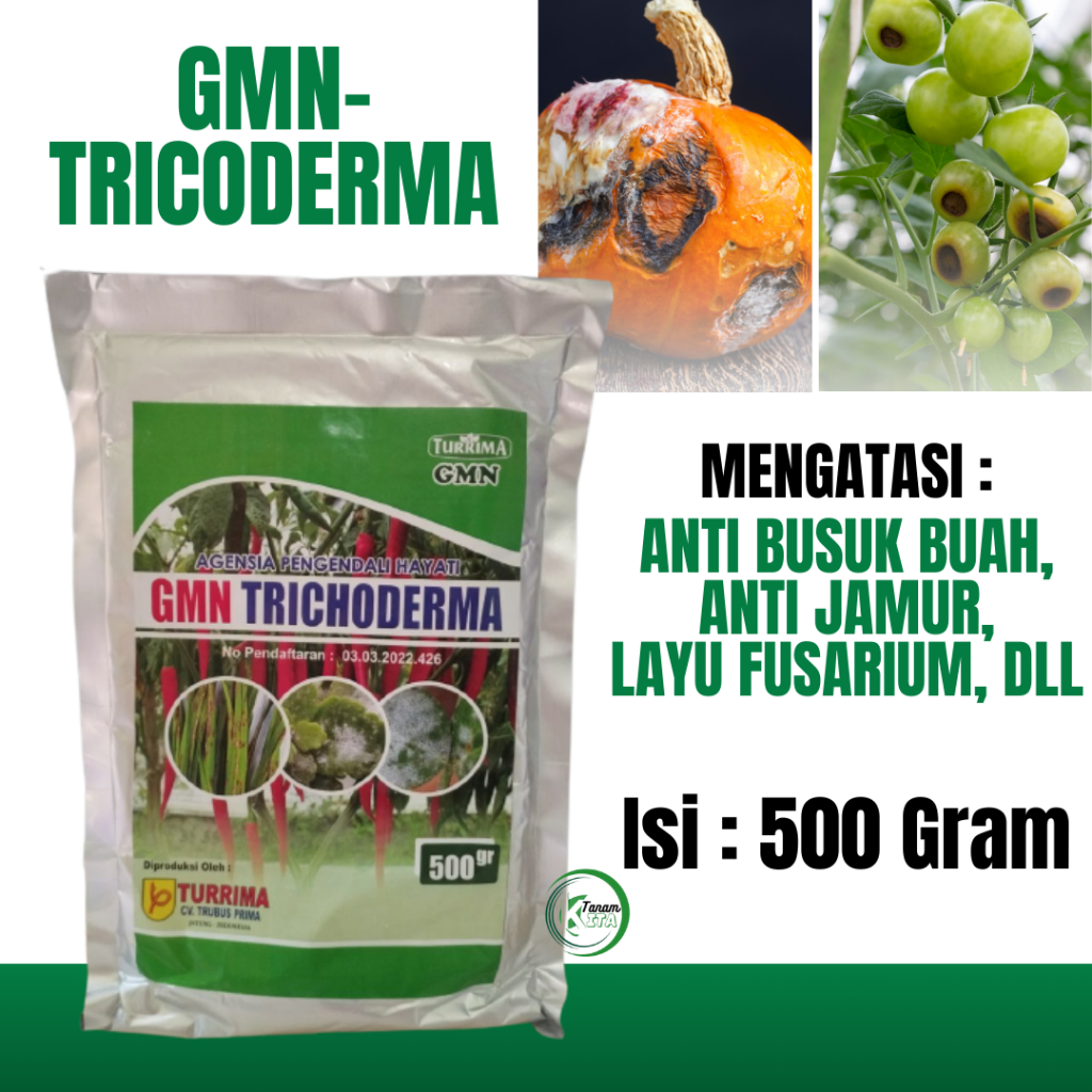 Jual Fungisida Tricoderma sp, Trikoderma obat busuk buah cabe, pupuk ...