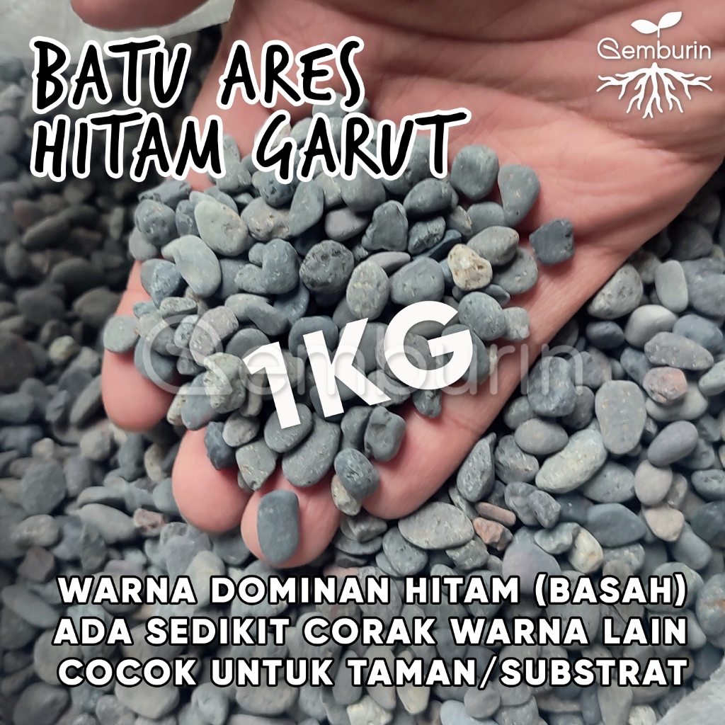 Jual Batu Ares Hitam Garut 1 Kg / Pasir Koral Hias Abu Abu Peble Black Stone Pebble Multicolor ...