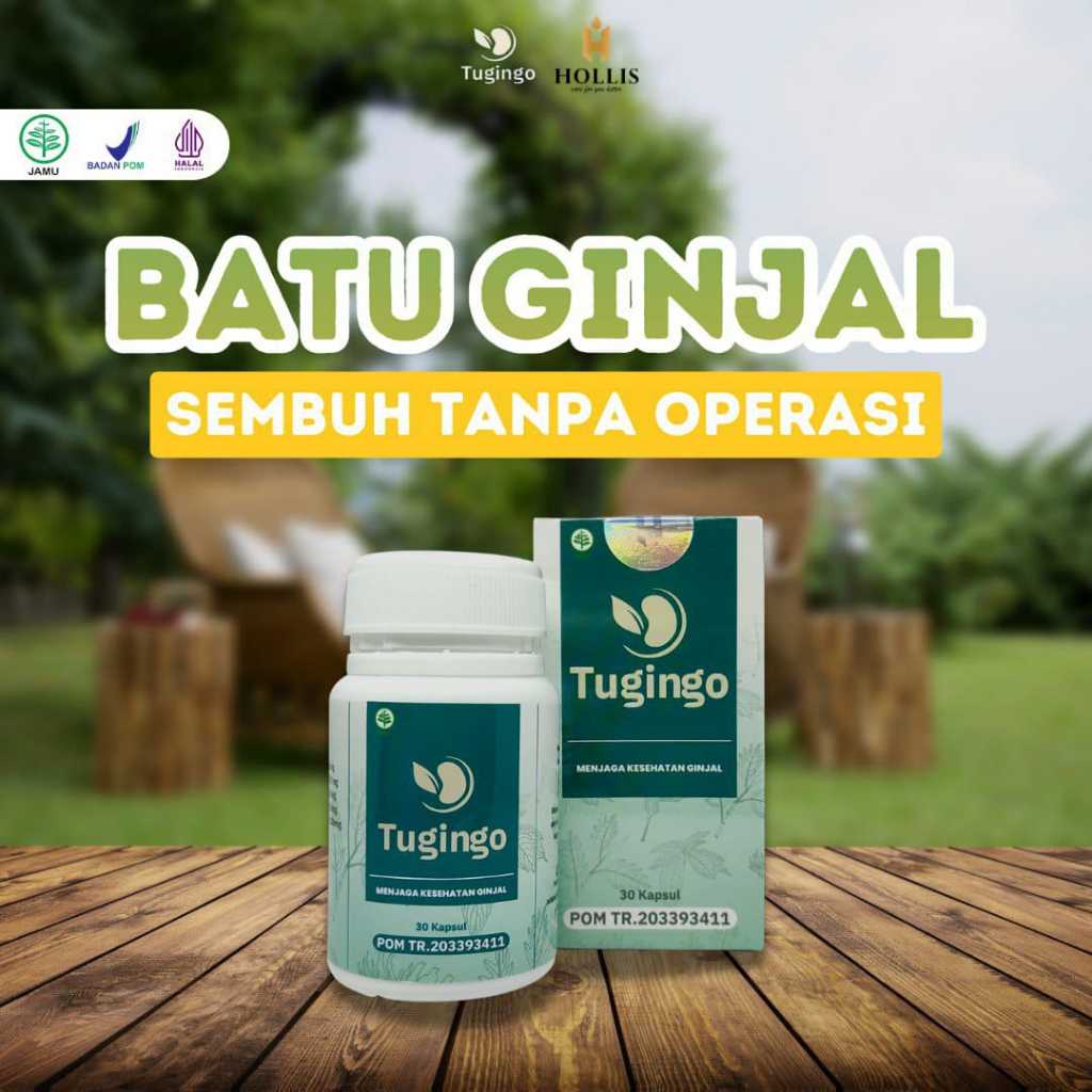 Jual Tugingo 60 Kapsul Obat Herbal Ginjal Bengkak dan Sakit Pinggang ...