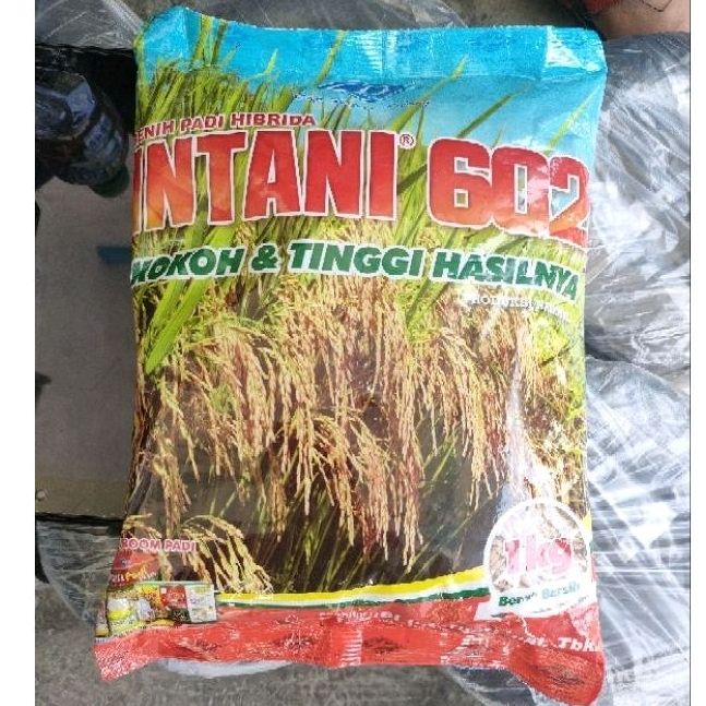 Jual INTANI 602 BENIH PADI HIBRIDA CAP KAPAL TERBANG | Shopee Indonesia