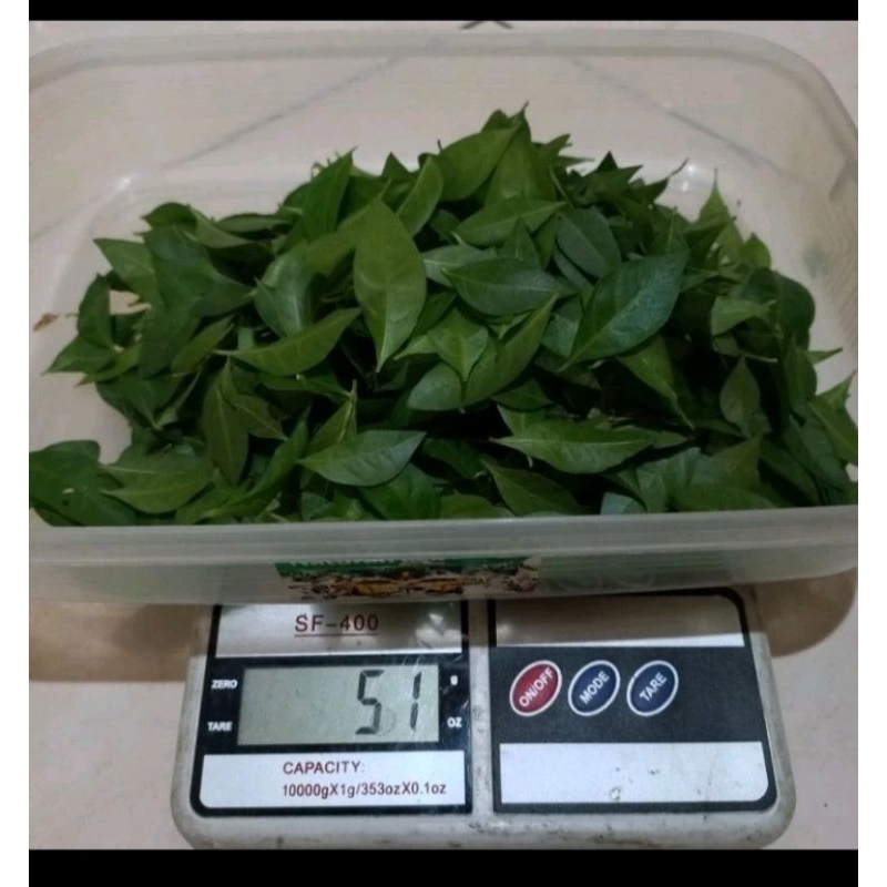 Jual Daun pacar Arab segar, daun pacar untuk kuku, daun henna segar ...