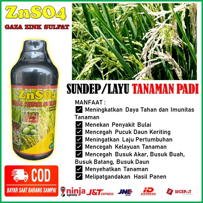 Jual Obat Sundep Padi Paling Ampuh - ZnSO4 Gaza Zink Sulfat Pupuk ...