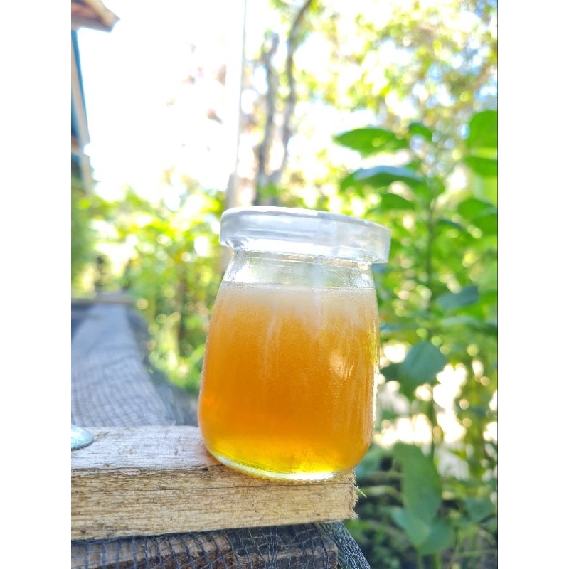 Jual Madu Lambung/ Madu Trigona pahit / Madu Magh / Madu Gerd / madu ...