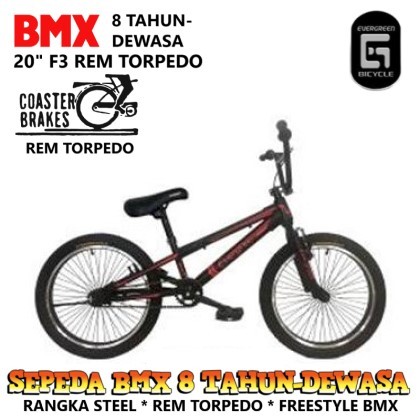 Jual Sepeda BMX Evergreen F3 10 Freestyle Remaja-Dewasa 20 Inci Steel ...