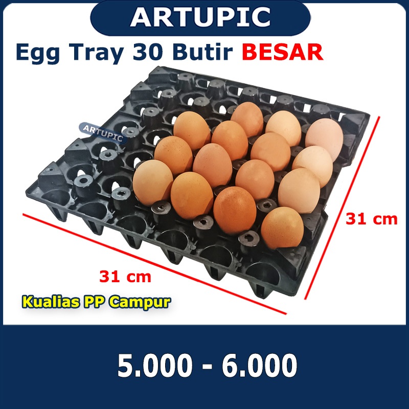 Jual Egg Tray Telur 30 Butir HITAM Ayam Bebek Rak Tempat Tray Telur ...