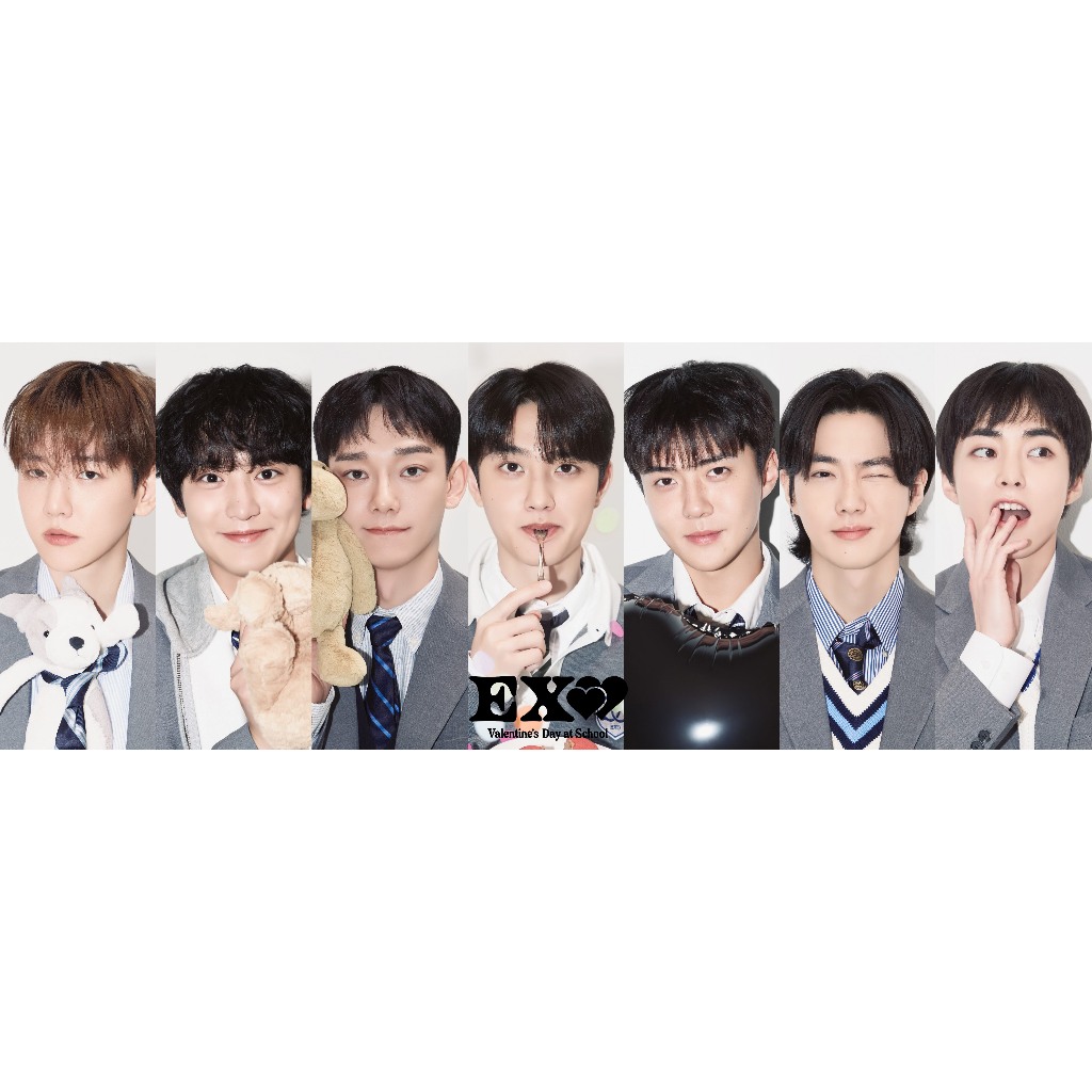 Jual HAND BANNER EXO SEASONS GREETINGS 2024 HANDBANNER (HARGA 1 PCS ...