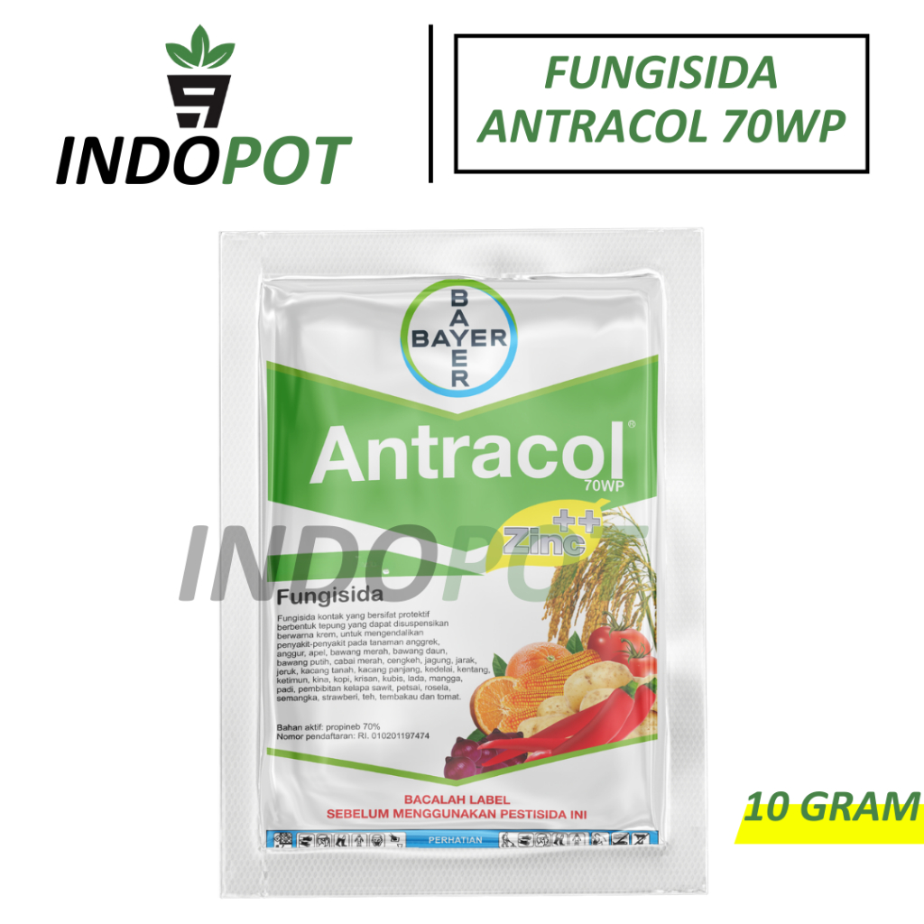Jual Fungisida Antracol 70WP Kemasan 10gram Pupuk Pencegah Hama dan ...