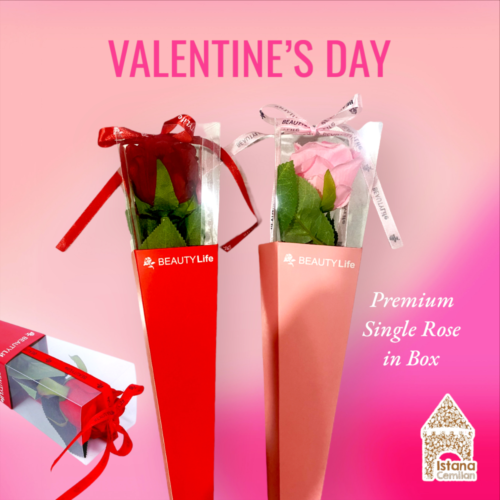 Jual Premium Single Rose in Box | Gift Bunga Mawar Valentine / Wisuda ...