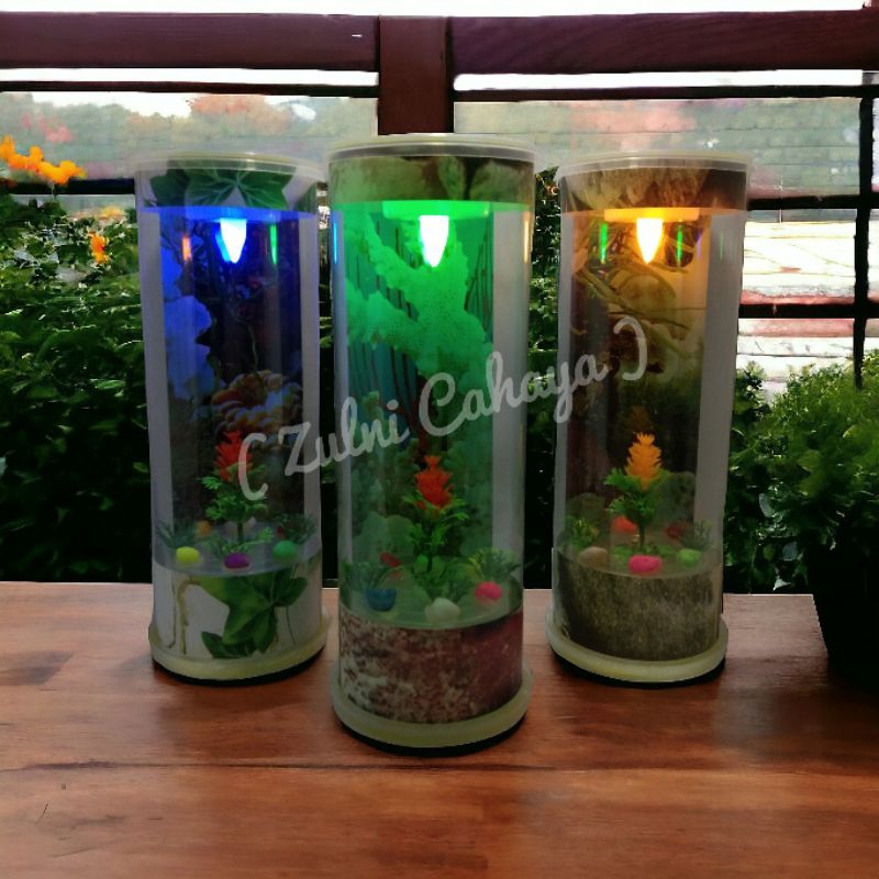 Jual [ PROMO ] Aquarium Mini Dilengkapi Lampu Led 3wat + Tanaman Bunga ...