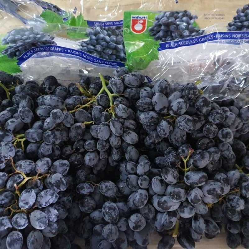 Jual Buah 300gr per pack Anggur Autumn Royal tanpa biji, Ready Stock ...