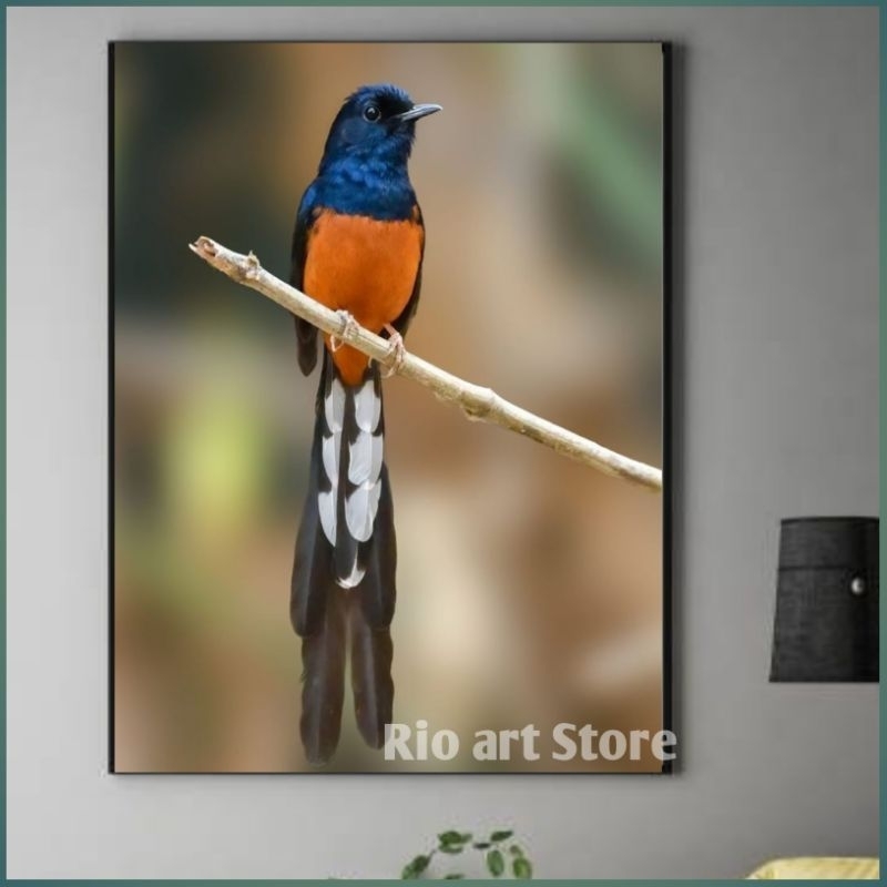 Jual Hiasan dinding poster burung mur4i untuk walldekor atau dekorasi ...